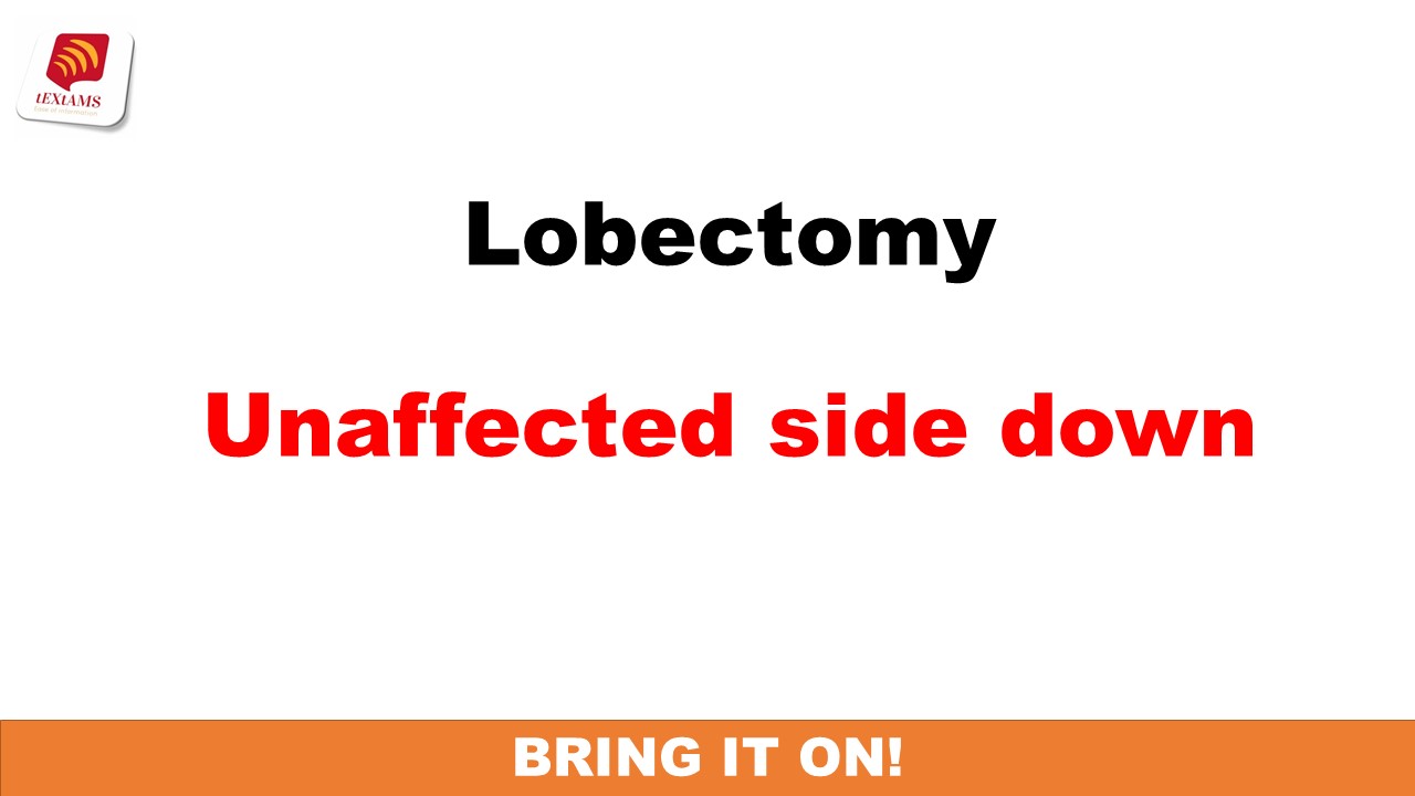 slide19-1 – tEXtAMS