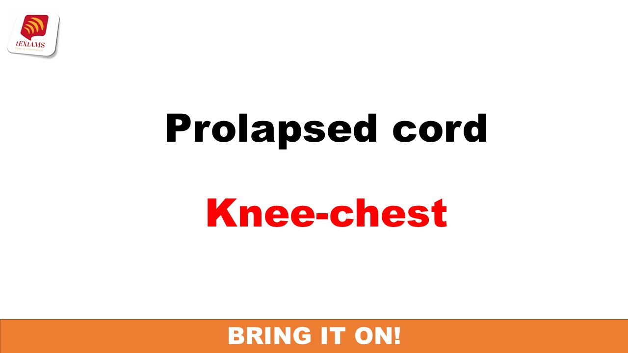 slide25-1 – tEXtAMS